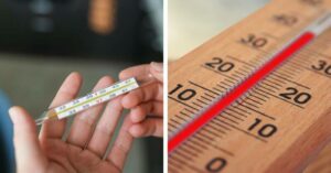 How To Clean A Thermometer In 5 Easy Steps