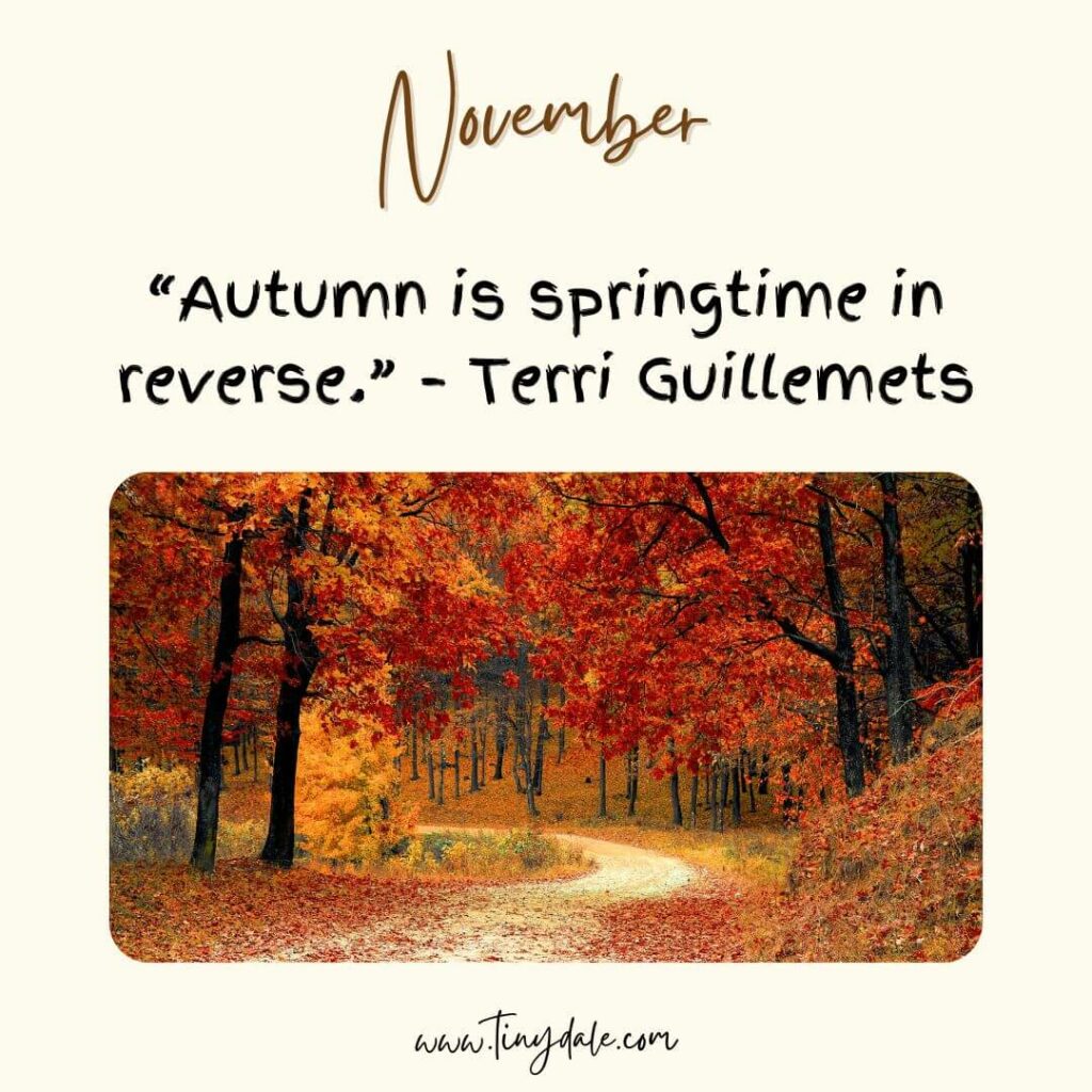 50 November Quotes For Inspiration In 2022