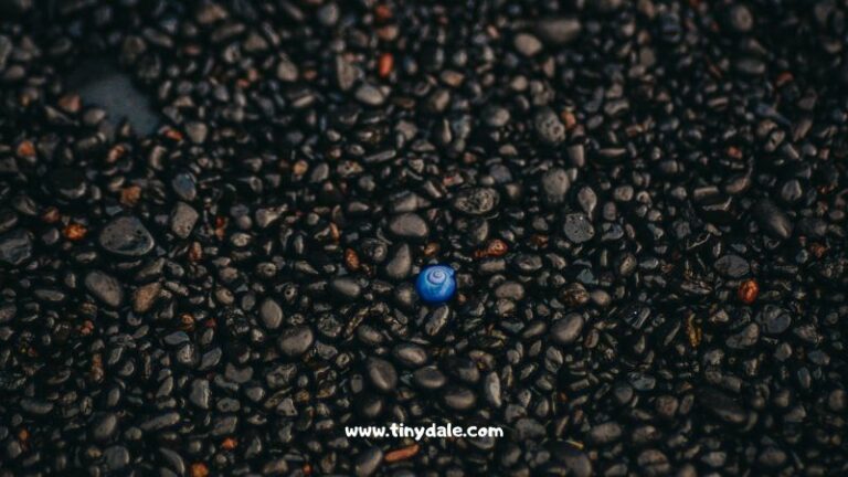 50 Latest Mormon Names With Meanings For Girls And Boys