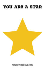 25+ Famous Shooting Star Quotes For Free