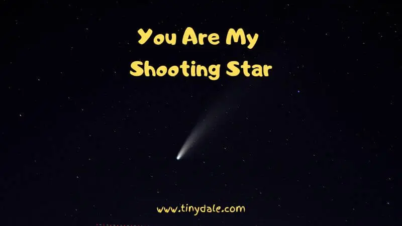 25+ Famous Shooting Star Quotes For Free