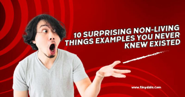 5 Non-Living Things Examples You Never Knew Existed