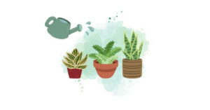 How to Teach Kids About the Plant Life Cycle