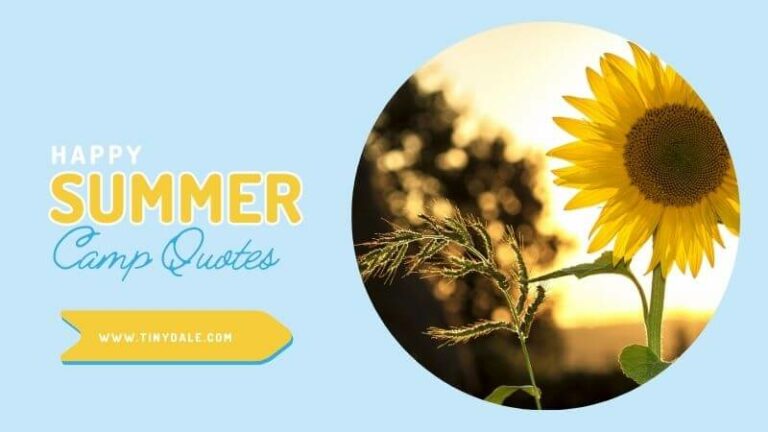 50 Memorable Summer Camp Quotes And Wishes For Kids!