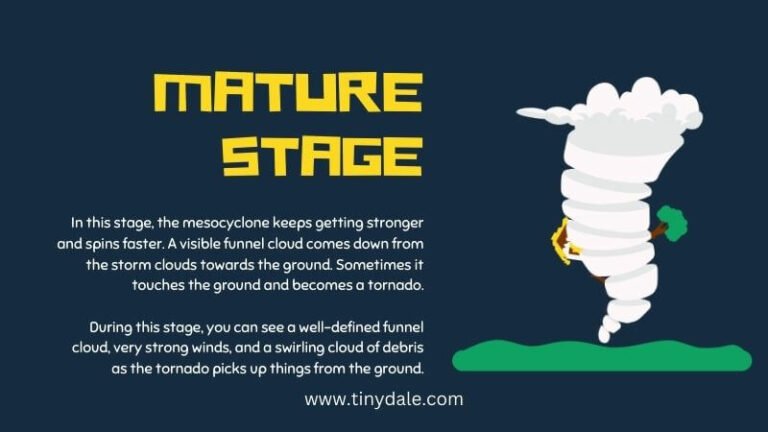 40+ New Tornado Facts For Kids (With Fun Pictures)
