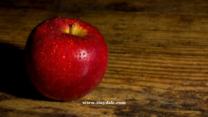 100 Best Apple Quotes, Captions and Sayings For Kids!