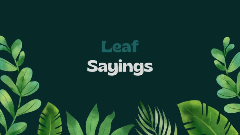 100+ Best Leaf Quotes And Sayings For Kids 2023!