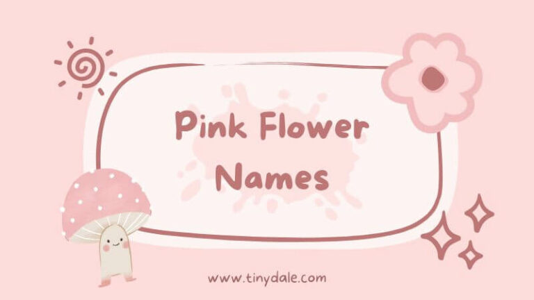 25 Most Popular Pink Flower Names (Free Picture Collection)