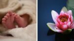 Lotus Birth: Discovering A Unique Method of Welcoming New Life