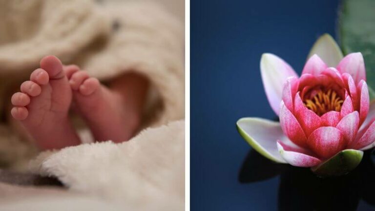 Lotus Birth: Discovering A Unique Method of Welcoming New Life