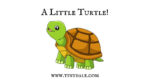 10 Easy Ways To Teach A Little Turtle Poem To Grade 1 Kids!