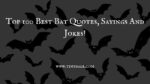 Top 100 Best Bat Quotes, Sayings And Jokes!
