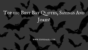 Top 100 Best Bat Quotes, Sayings And Jokes!