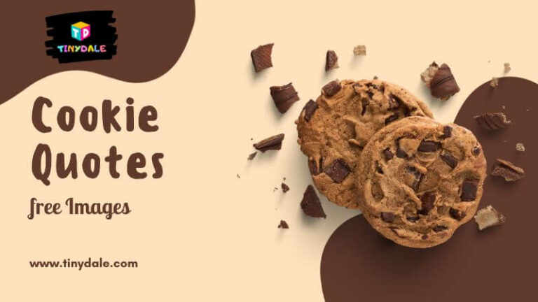 150 Cookie Quotes, Puns, Sayings And Facts (Free Images)
