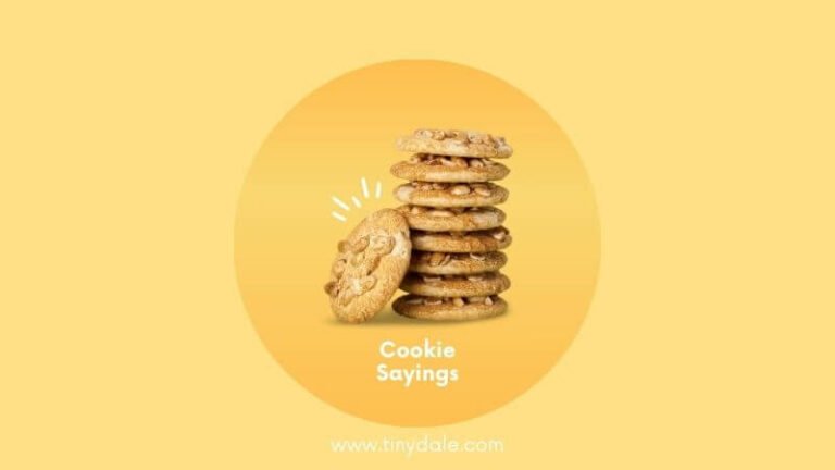 150 Cookie Quotes, Puns, Sayings And Facts (Free Images)