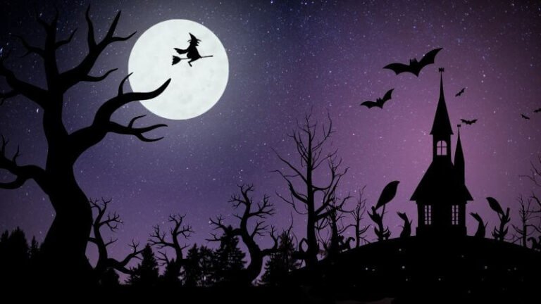 Top 100 Best Bat Quotes, Sayings And Jokes!