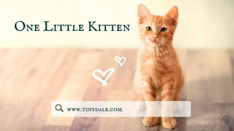 10 Easy Ways To Teach One Little Kitten To Grade 1 Kids!