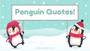 100 Best Penguin Quotes And Sayings - Tinydale