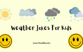 100 Best Collection Of Weather Jokes For Kids (Free Images)