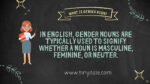 Gender Nouns - A Complete Guide! (Free Lesson Plan)