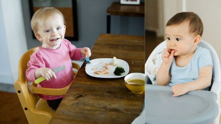 Top 10 Best Baby High Chairs (Updated List)