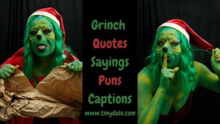 Top 100 Crazy Grinch Quotes, Sayings, Puns And Captions!