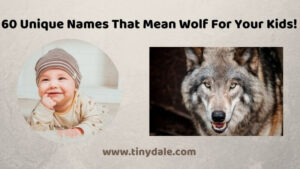 60 Unique Names That Mean Wolf For Your Kids!