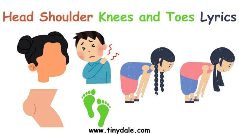 Head Shoulder Knees and Toes Lyrics (Free Video)