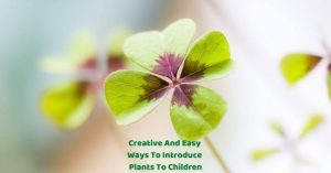 80 Unique Plant Names For Boys (With Meanings)