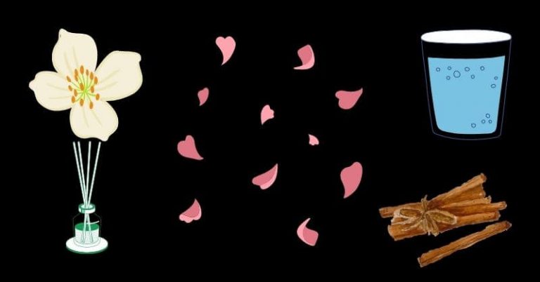 How to make a Love Potion In 5 Easy Steps