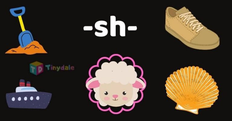 Top 10 Ways To Teach sh Words For Kids